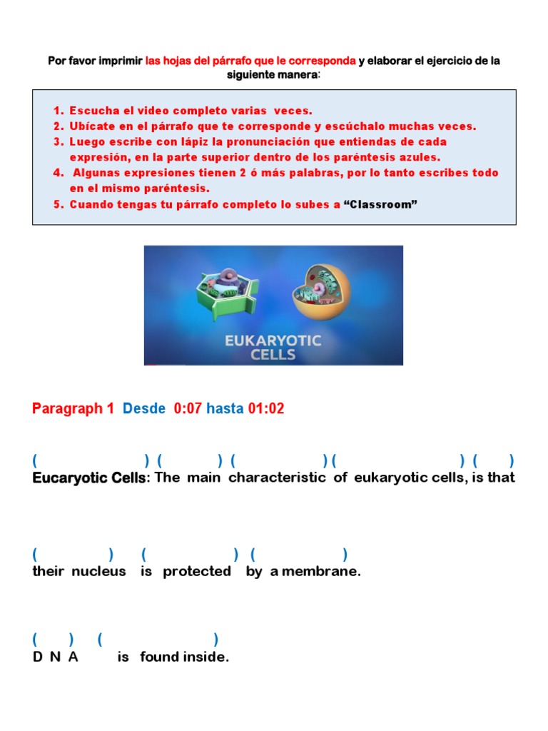 Listening Exercise PDF