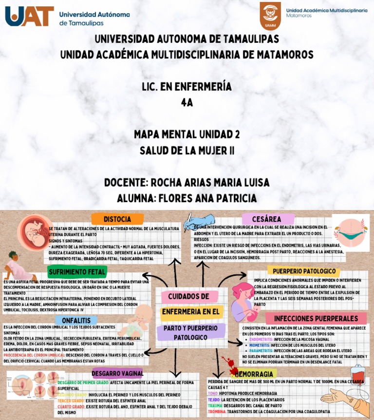 Mapa Mental Embarazo Puerperio Patologico | PDF | Parto | Periodo posparto