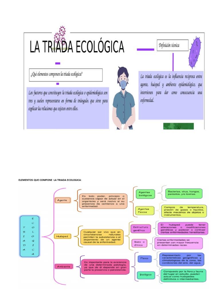 MAPA CONCEPTUAL DE TRIADA ECOLOGICA-2023 | PDF