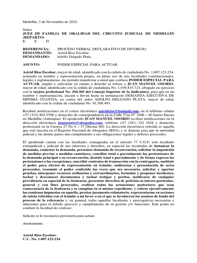 Poder Especial | PDF | Demanda judicial | Gobierno
