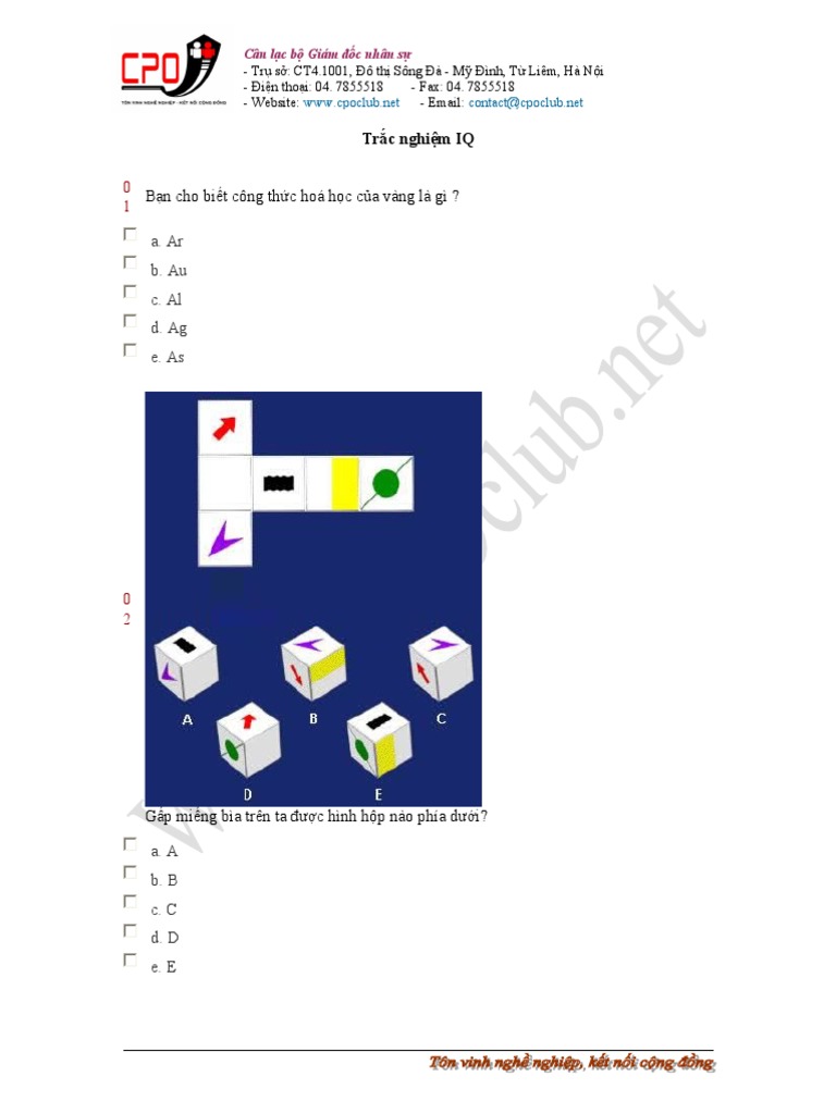 BMNS-07 Bai Test IQ | PDF