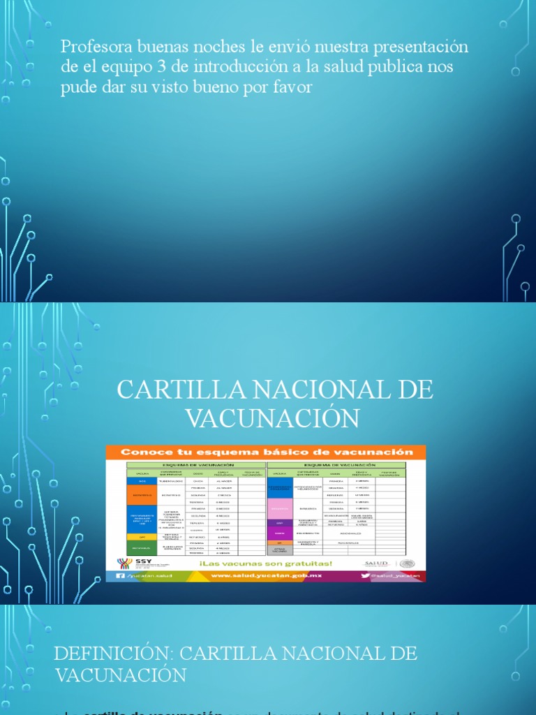 Cartilla Nacional de Vacunacion | PDF Cartilla Nacional de Vacunacion | PDF