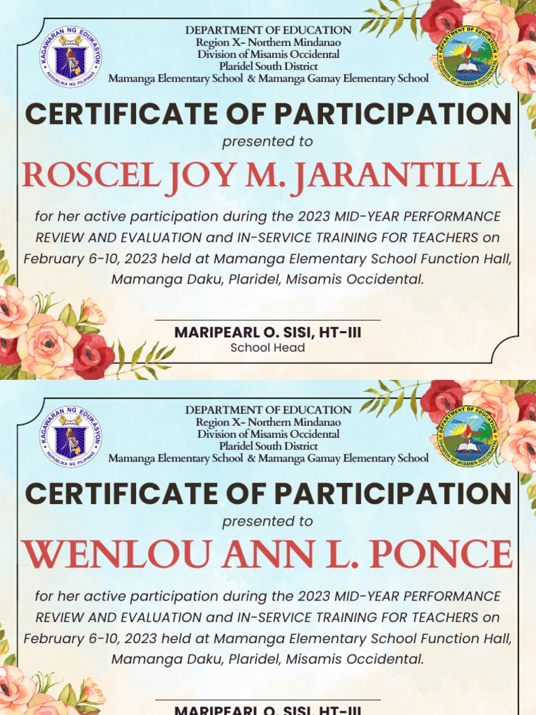 INSET Certificate (Participation) | PDF | Philippines INSET Certificate (Participation) | PDF | Philippines
