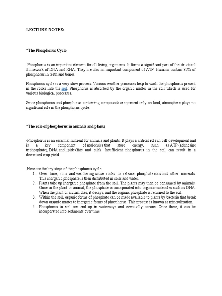 Phosphorus Cycle Overview and Importance | PDF | Science & Mathematics