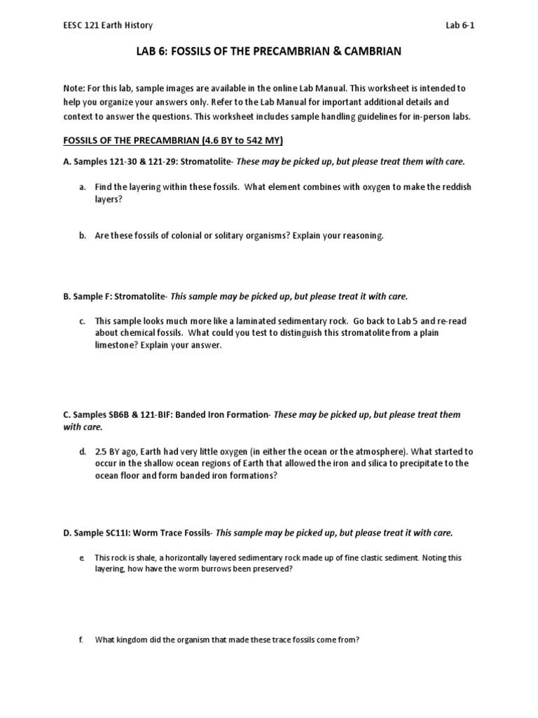 Eesc121 Lab6 Worksheet Ma0421 Download Free Pdf Fossil Earth Sciences 