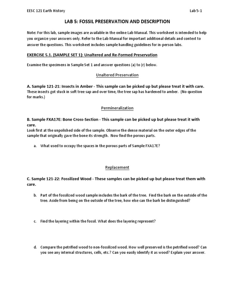 EESC121 Lab5 Worksheet | PDF | Sedimentary Rock | Fossil