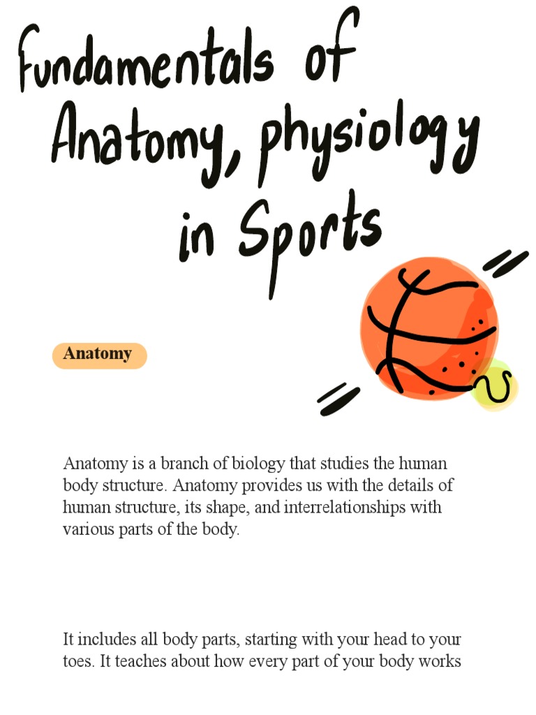 Fundamentals of Anatomy in Sports | PDF | Respiratory System | Lung