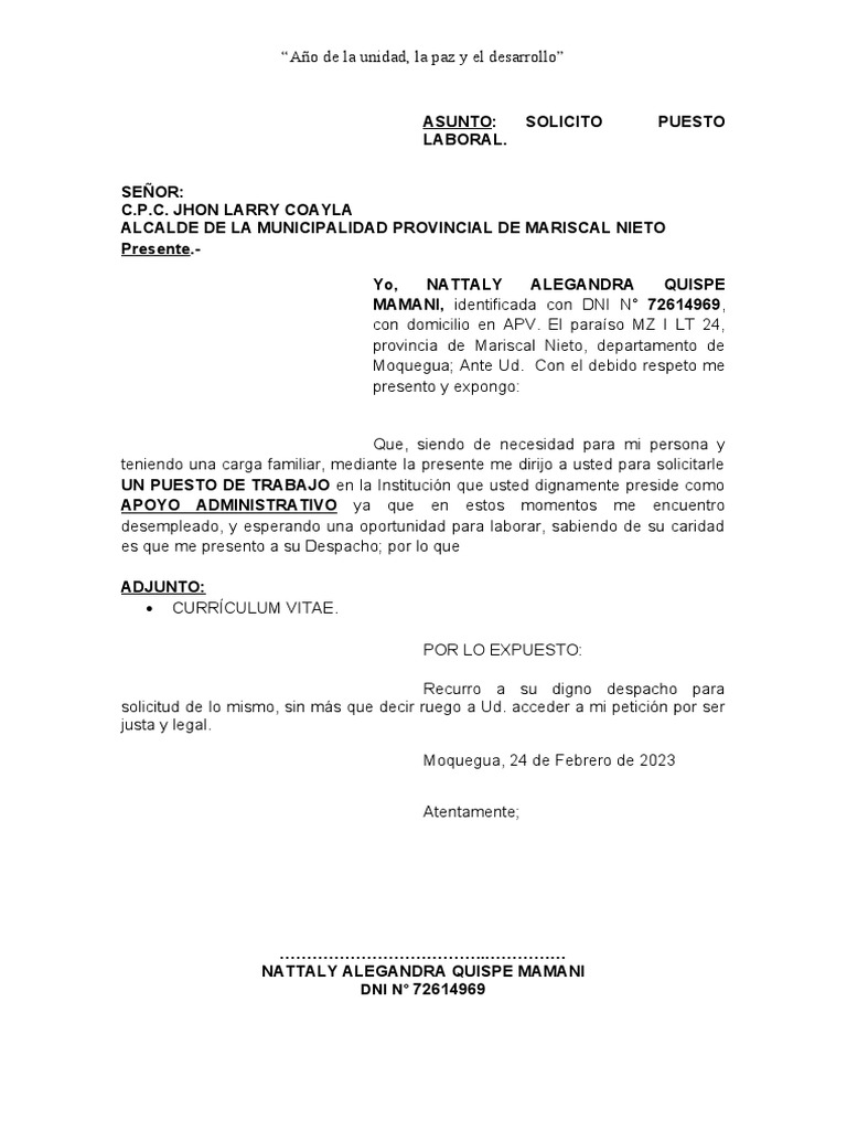 Solicito Puesto Laboral MPMN 2023 | PDF