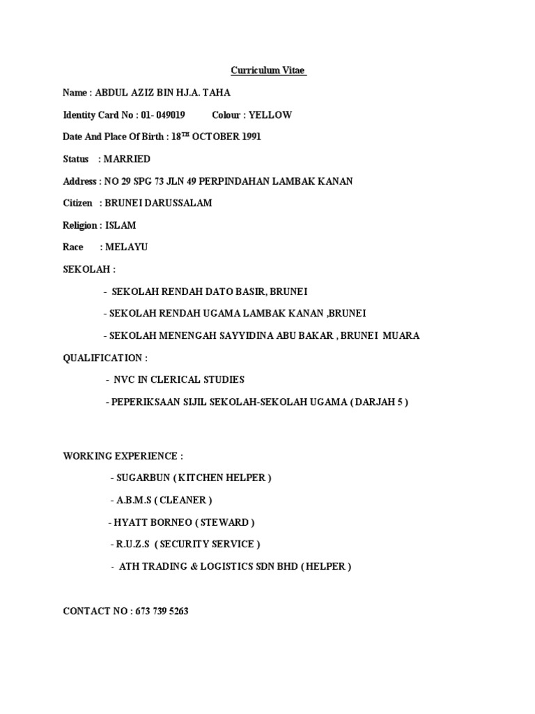 Curriculum Vitae ABDUL AZIZ | PDF