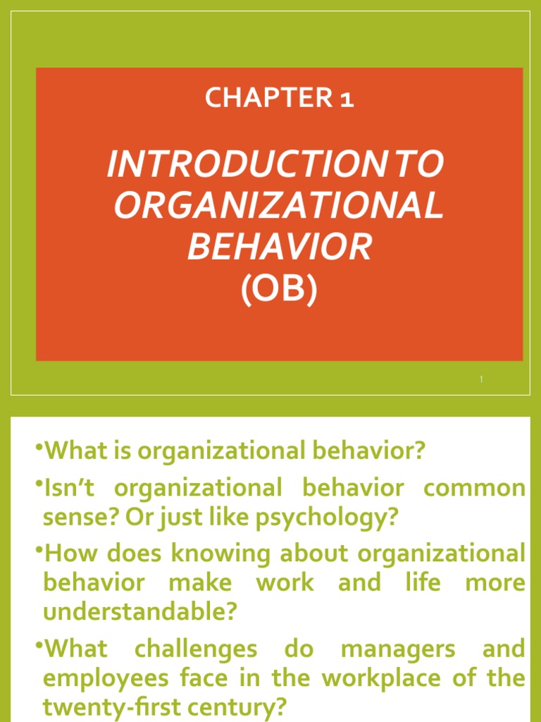 Introduction To Organizational Behavior | PDF