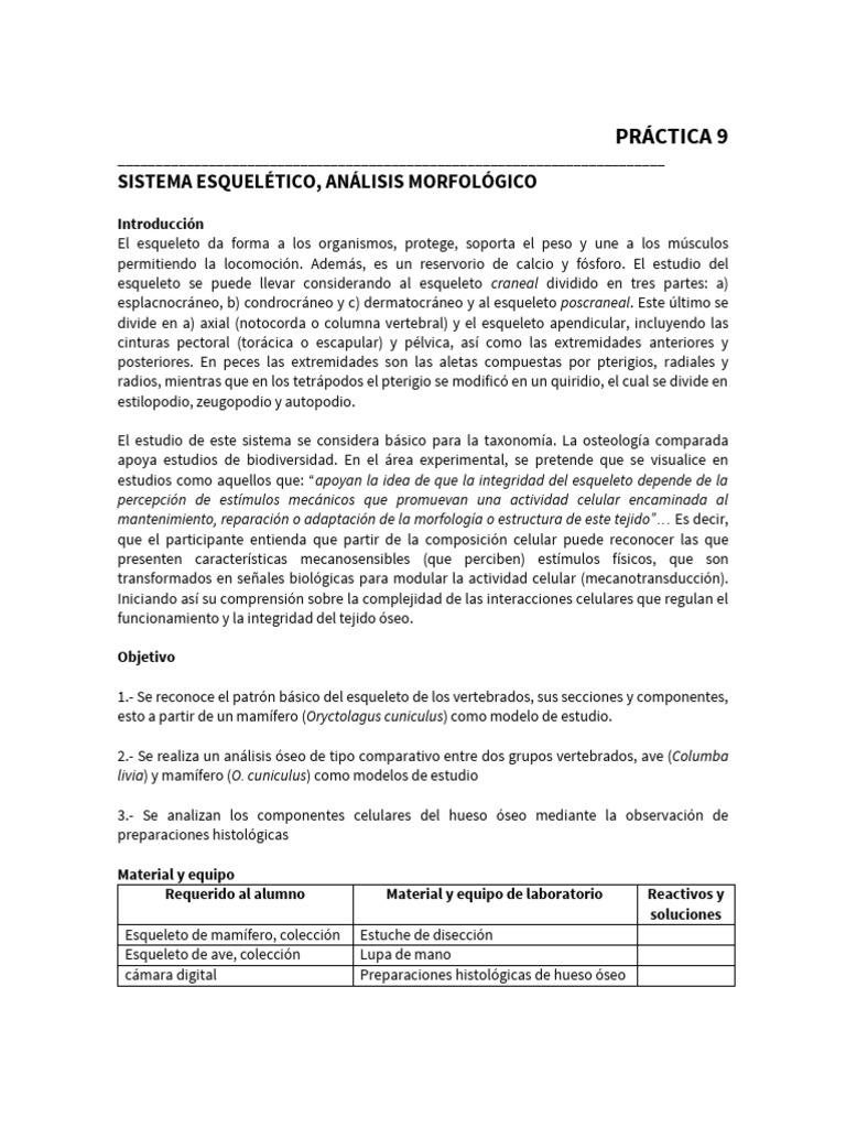 9 Sistema Esqueletico Pdf Esqueleto Hueso