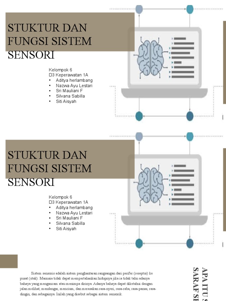 Struktur dan Fungsi Sistem Sensorik | PDF | Pengembangan Diri ...