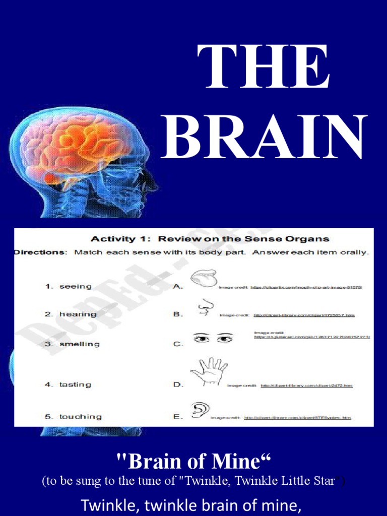 Science 4 Q2 Week 1 | PDF | Heart | Atrium (Heart)