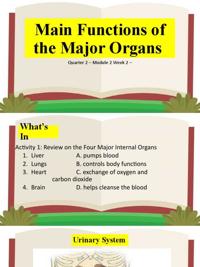 Science 4 Q2 Week 2 | PDF | Gastrointestinal Tract | Small Intestine