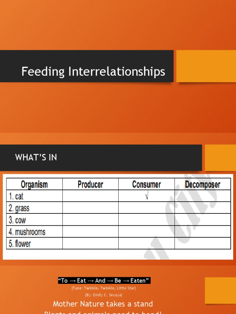 Science 4 Q2 Week 8 | PDF | Predation | Parasitism