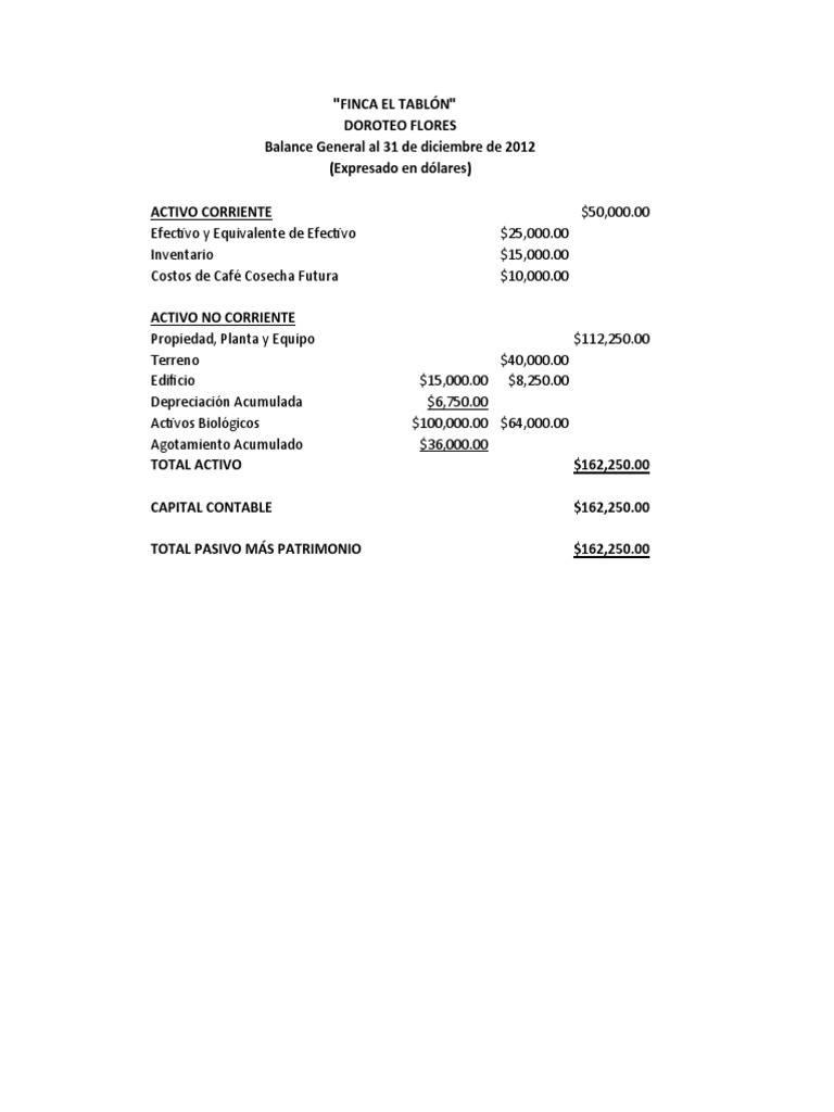 Caso Práctico CA Excel | PDF