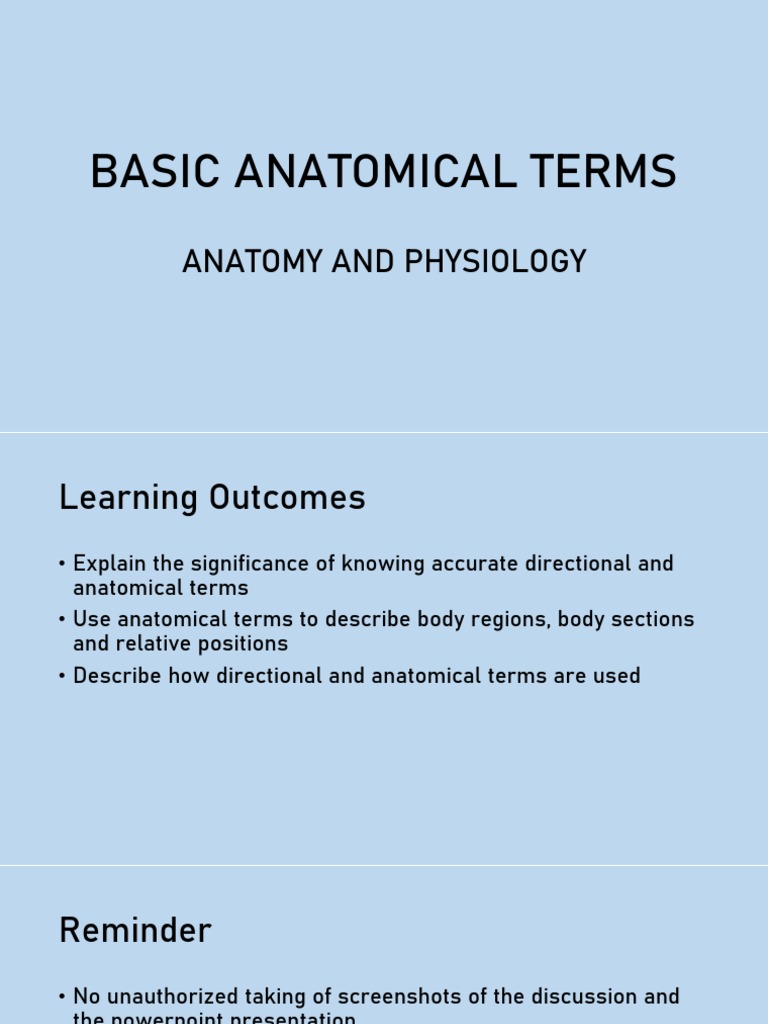 Basic Anatomical Terms PPT | PDF | Anatomical Terms Of Location | Anatomy
