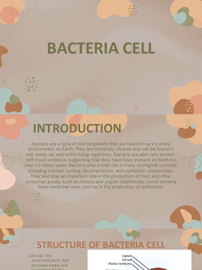 Bacteria Cell Callo | PDF | Bacteria | Cell (Biology)