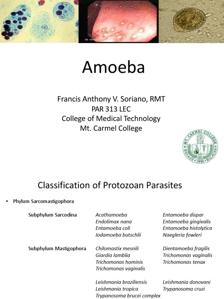 Parasitic Amoeba | PDF | Clinical Medicine | Organisms