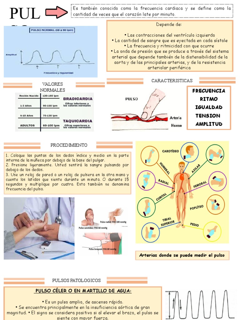Pulso e Indice Tobillo-Brazo | PDF | Legumbres | Artería