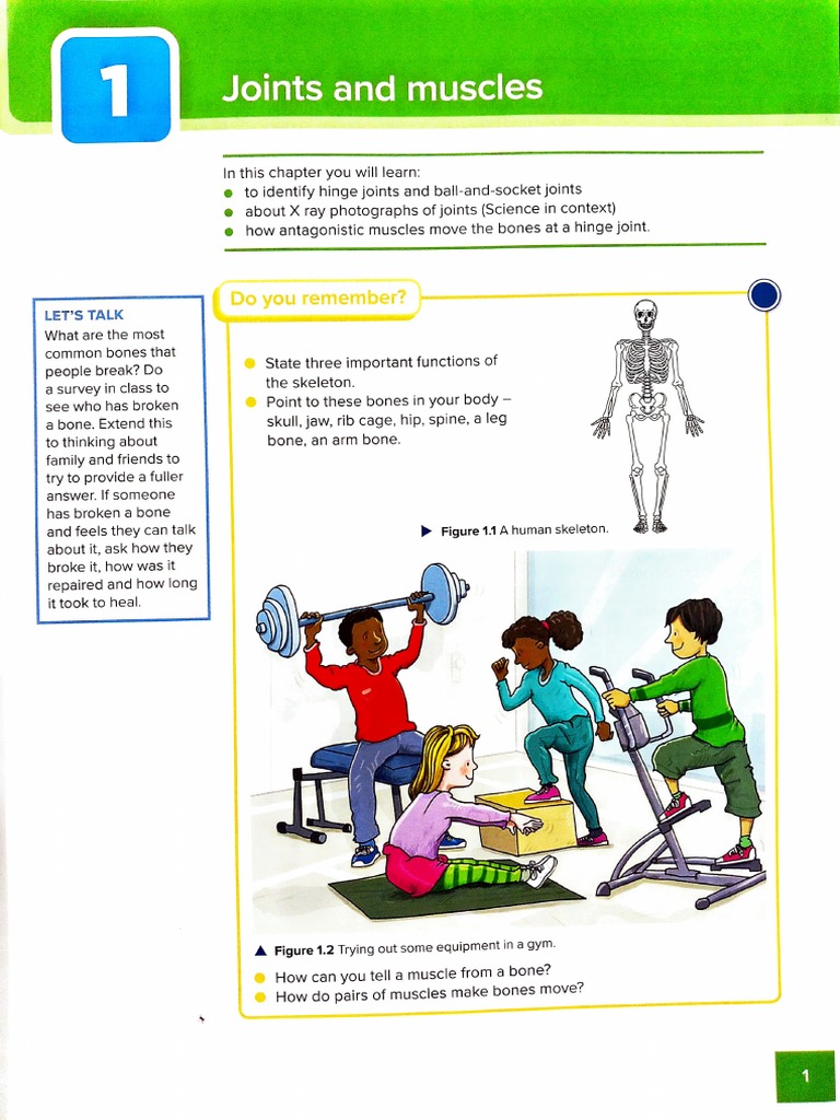 Canbridge Checkpoint Grade 7 | PDF | Arm | Blood