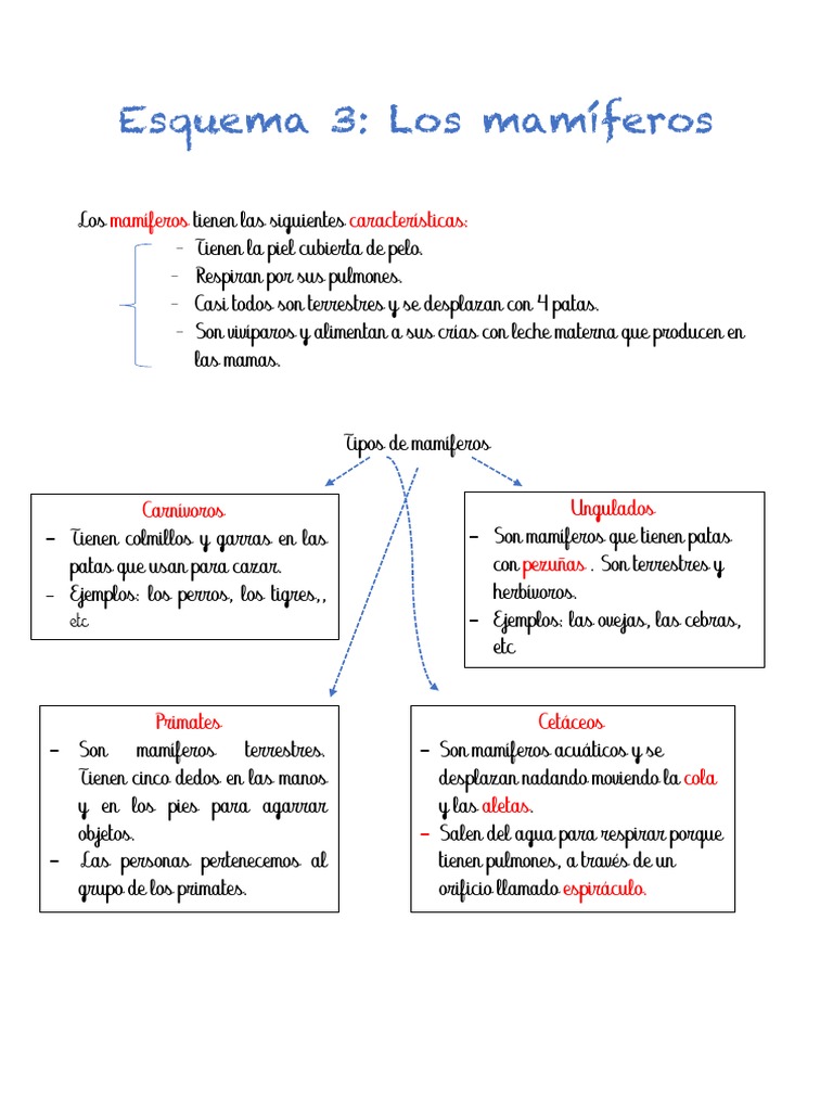 Tema 3 Esquema 3 | PDF