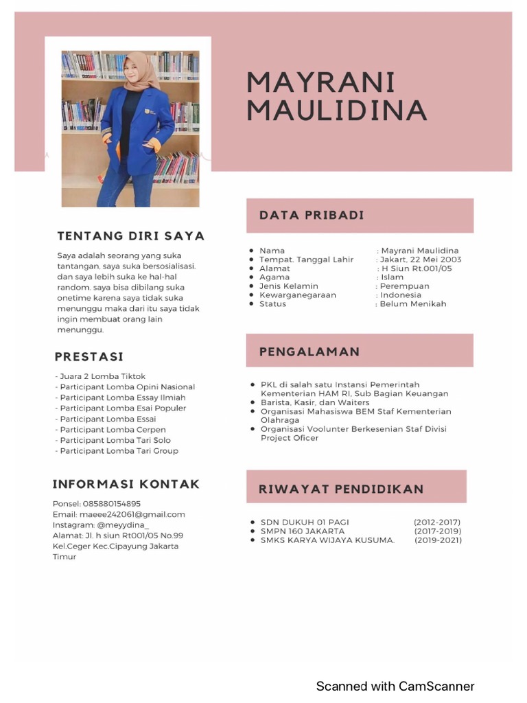 CV Dina | PDF