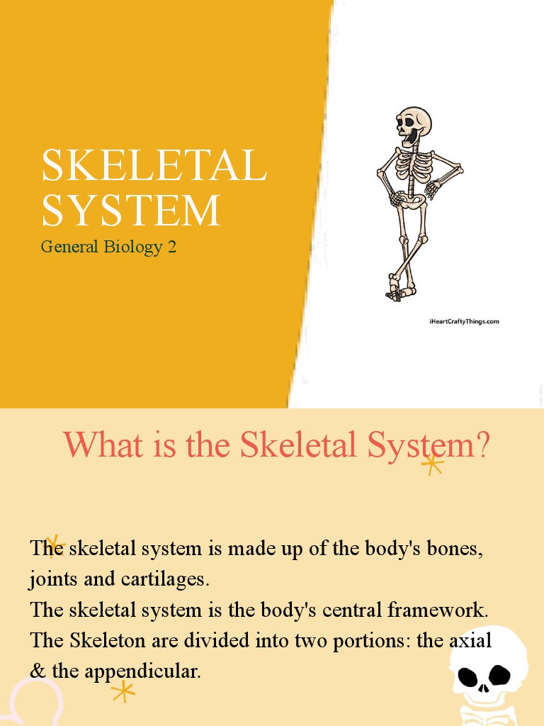 G 8 Skeletal System Pdf Bone Skeleton