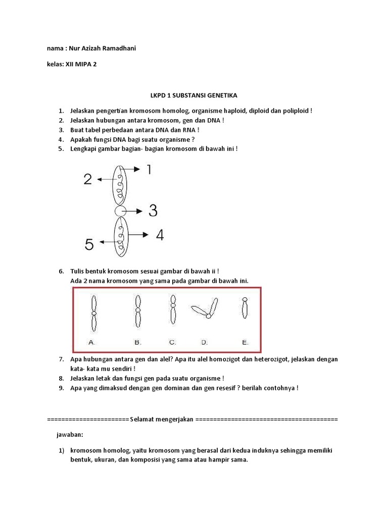 LKPD 1 SUBSTANSI GENETIKA | PDF