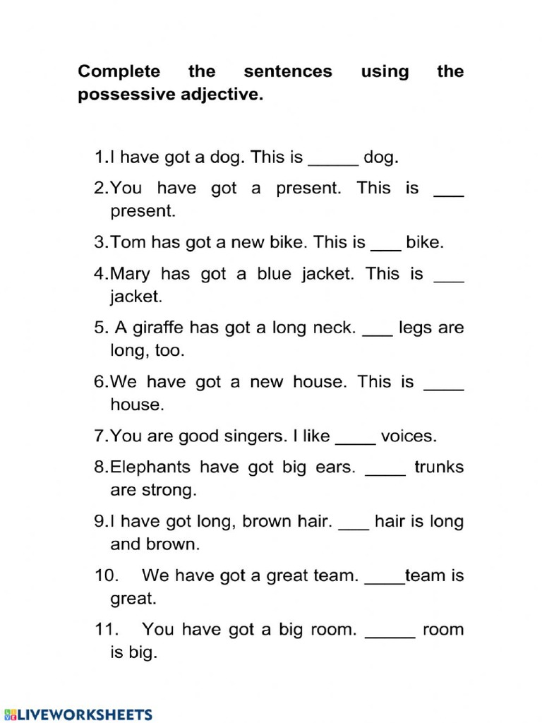 Possessive Pronouns Exercises | PDF
