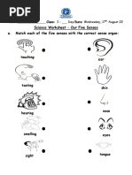 Grade 1 Physical Science States of Matter Worksheet | PDF