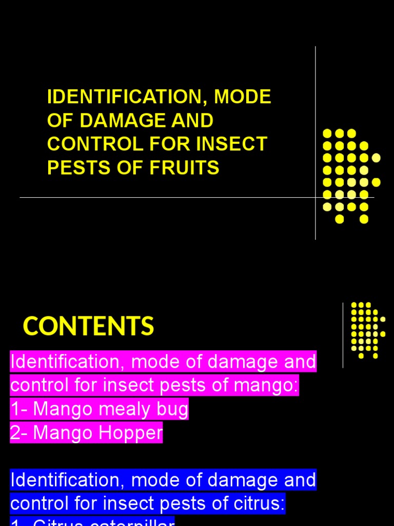 Insect Pests of Mango and Citrus | PDF | Biological Pest Control | Insects