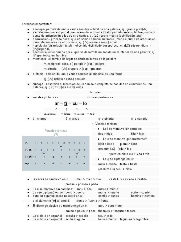HJH - Fonetica | PDF | Lingüística | Voz humana