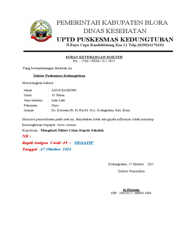 SKD Rapid Antigen | PDF