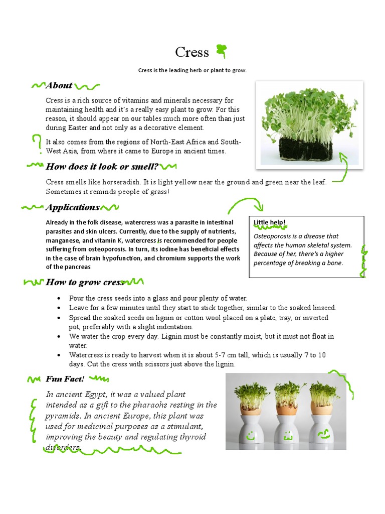 Growing and Benefits of Cress | PDF | Home & Garden | Science & Mathematics