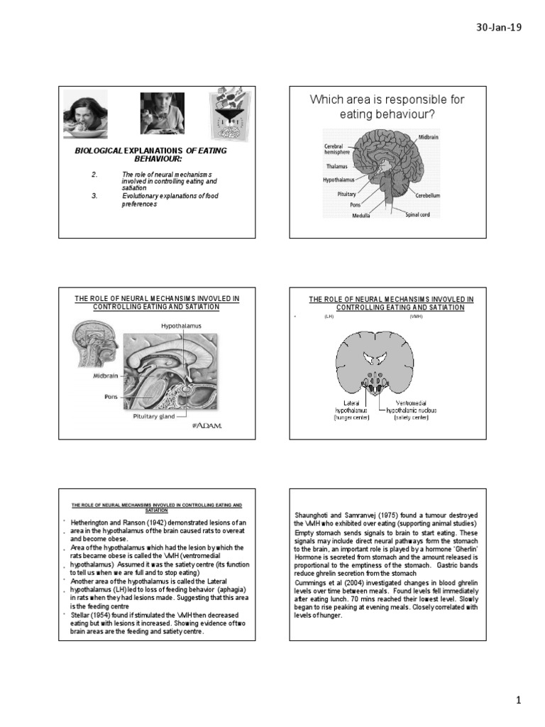 Neural Mechanisms of Eating Behavior | PDF | Eating | Insulin