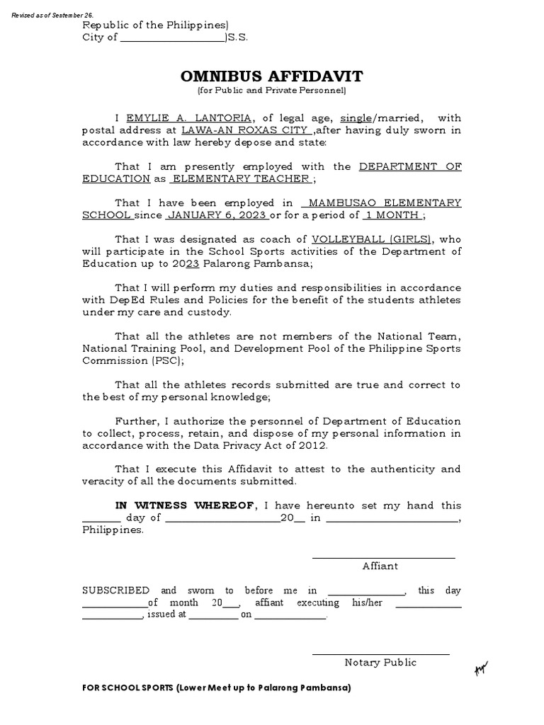 2020 Omnibus Affidavit | PDF | Affidavit | Judiciaries