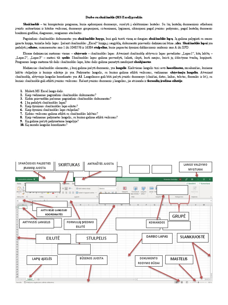 8kl Excelio-Darbo-Pradžia Teorija | PDF