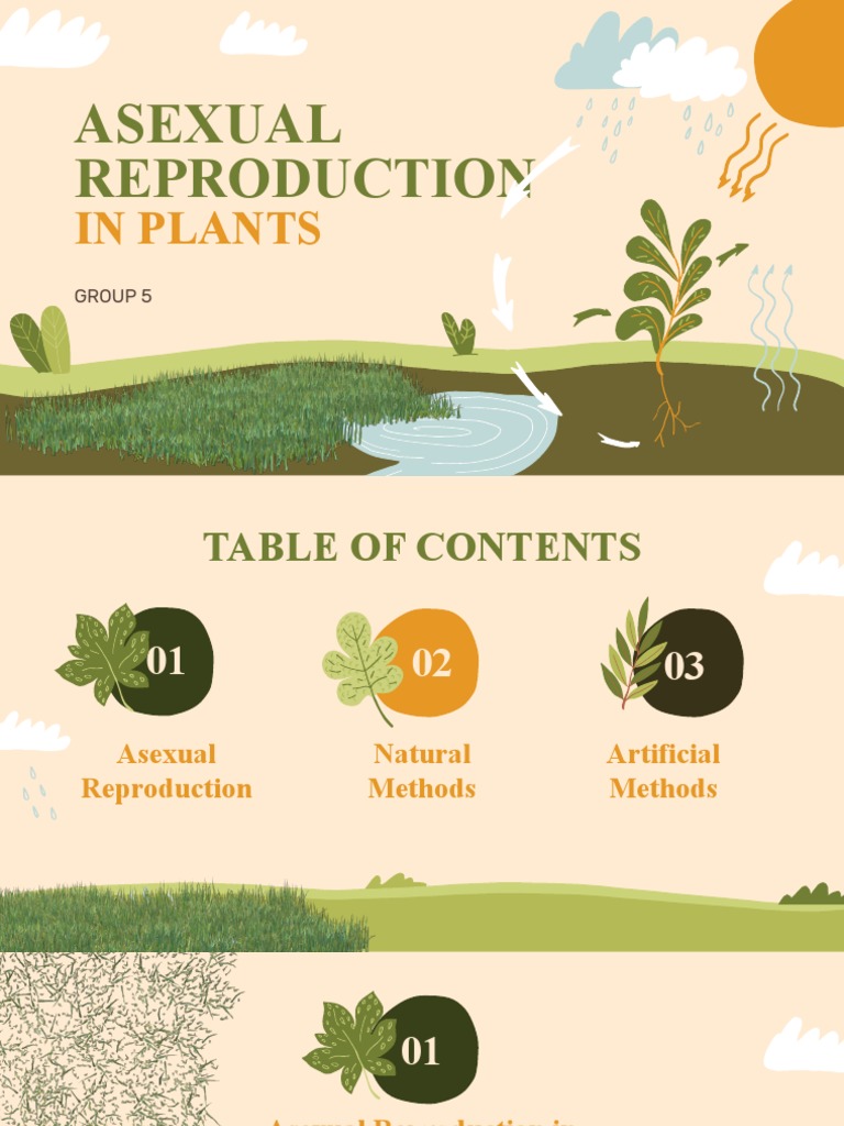 Gen Bio 2 | PDF | Plant Reproduction | Reproduction