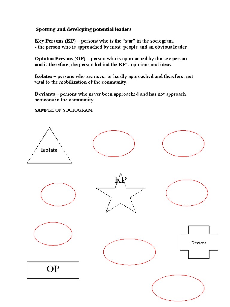 Understanding Sociogram Roles in Leadership | PDF | Career & Growth ...