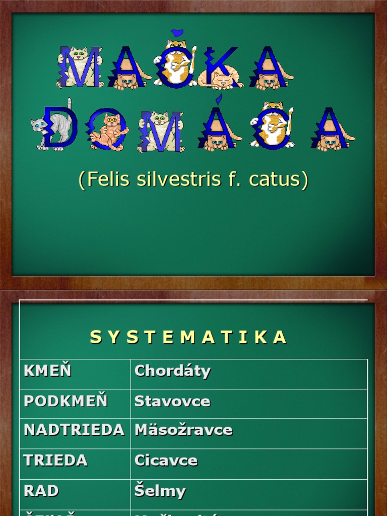 Macka Domaca Felis Silvestris F. Catus | PDF