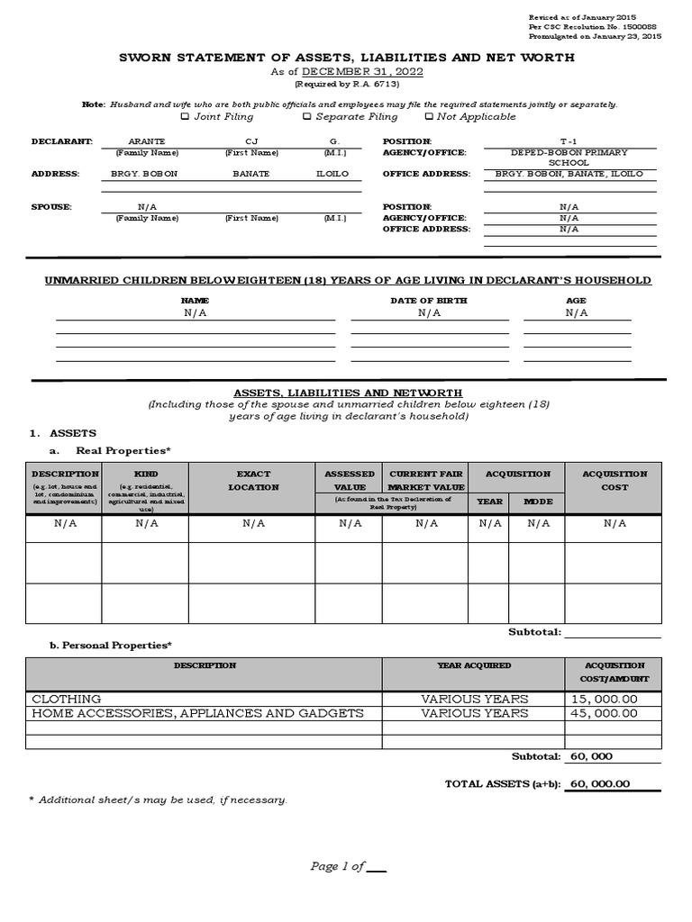 Saln | Download Free PDF | Net Worth | Government