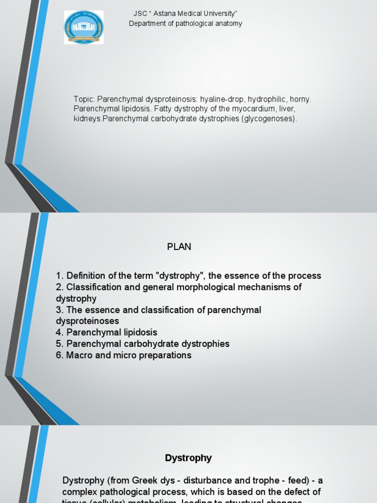 Dystrophy 1 | PDF | Cytoplasm | Lipid