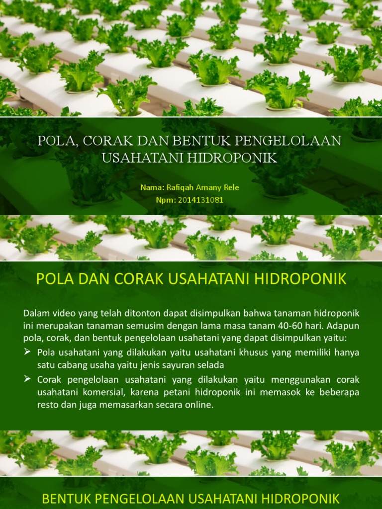 Hidroponik | PDF