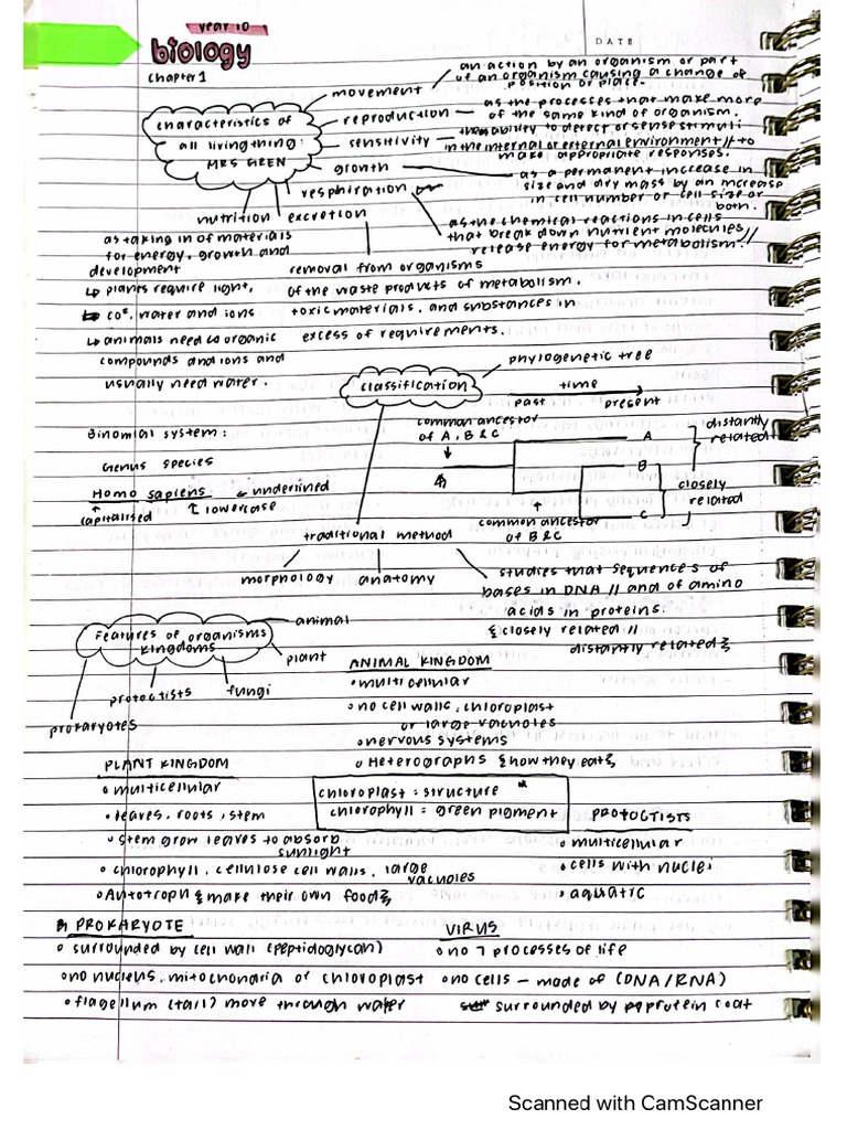 IGCSE Biology Notes Chapter 1 | PDF