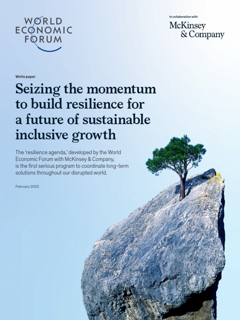 Seizing The Momentum To Build Resilience For A Future of Sustainable ...