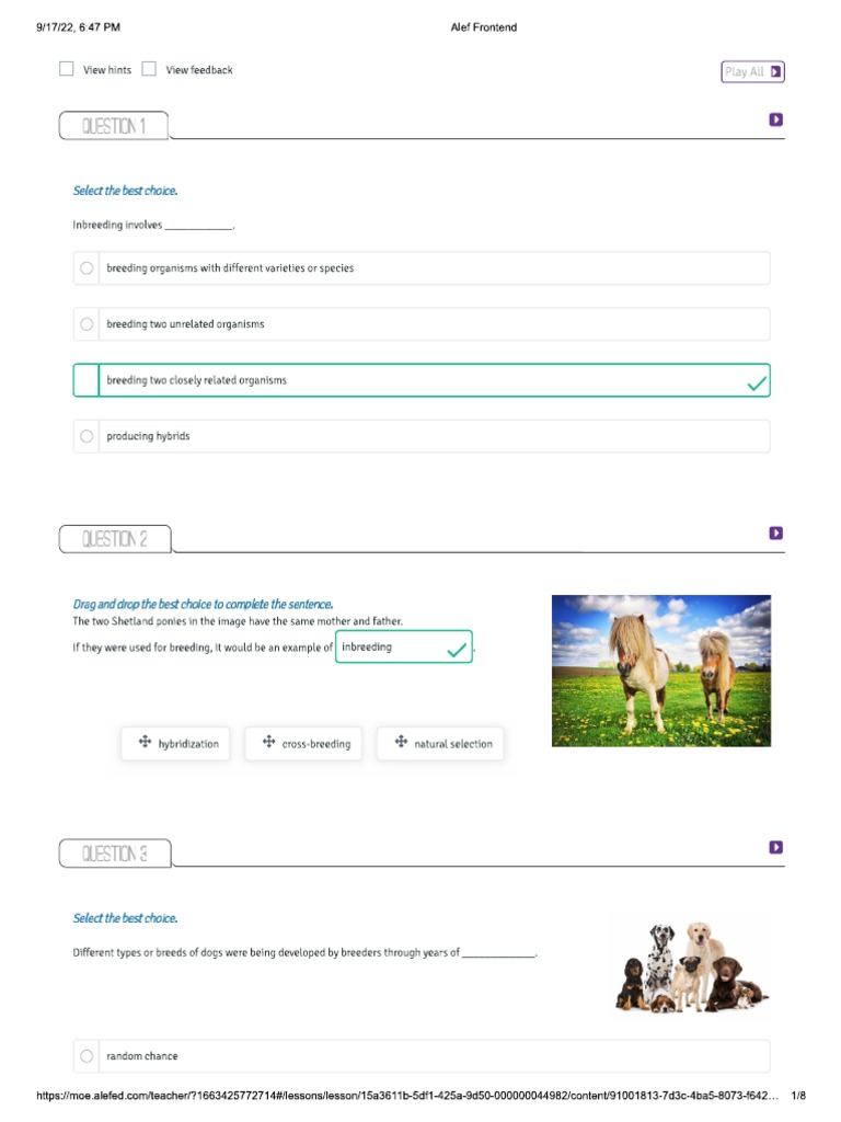 Applied Genetics Hybridization and Inbreeding | PDF