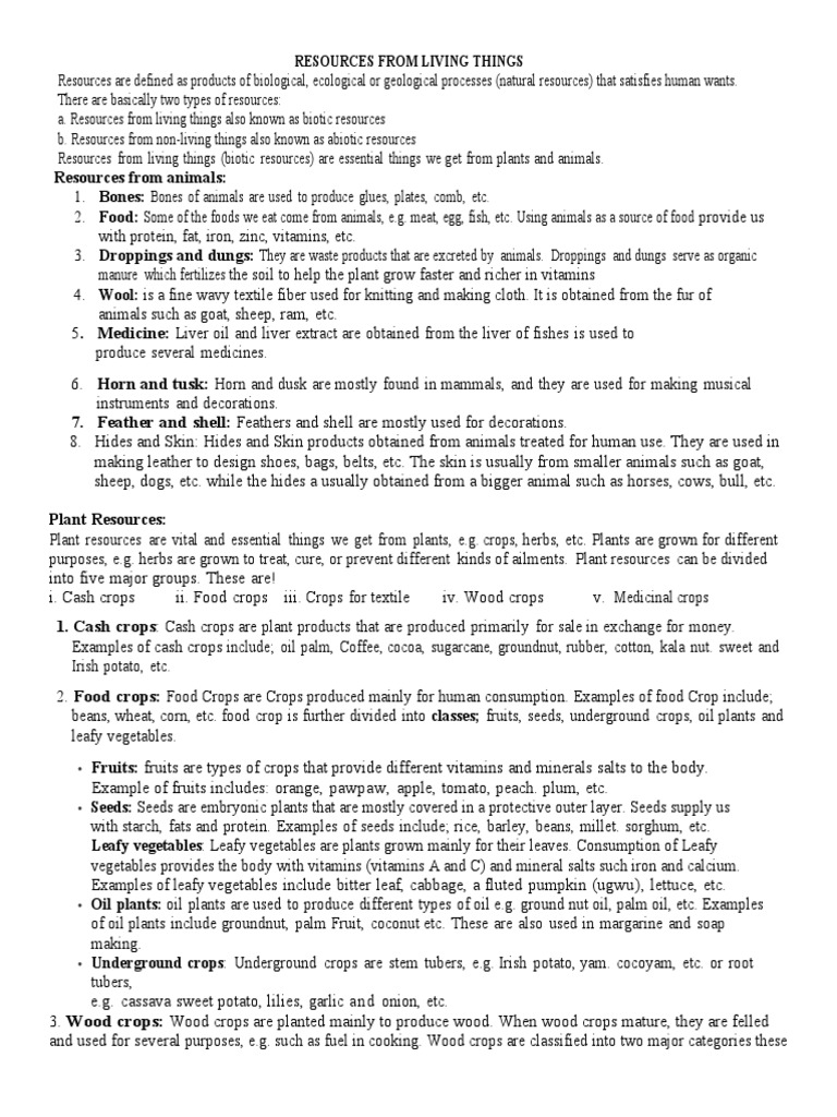 Resources from Living Things Explained | PDF | Foods | Vegetables