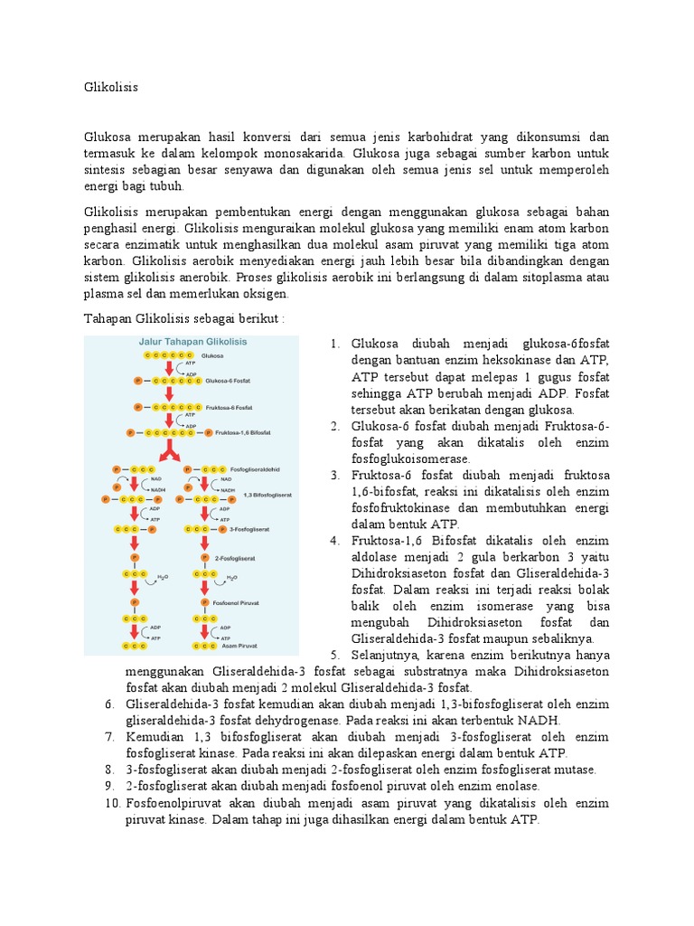 Glikolisis | PDF