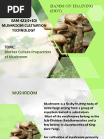 Tissue Culture Lab Report | PDF | Sterilization (Microbiology) | Growth ...